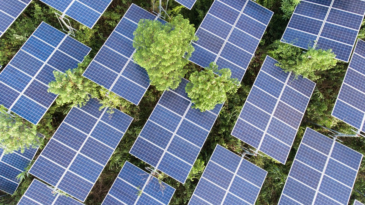 Just Transitions to Decarbonisation in the Asia-Pacific region | The ...