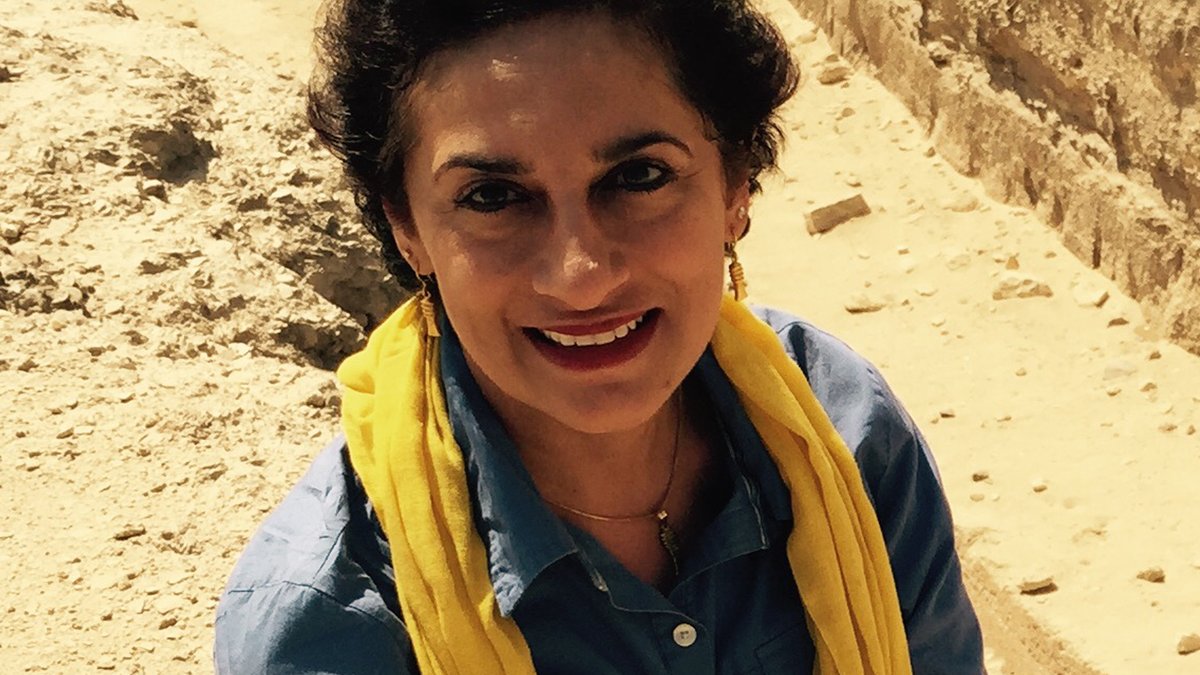 Professor Salima Ikram FBA | The British Academy