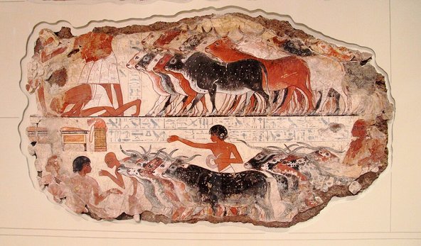 Tutankhamun’s Table: Food & Drink for a King | The British Academy
