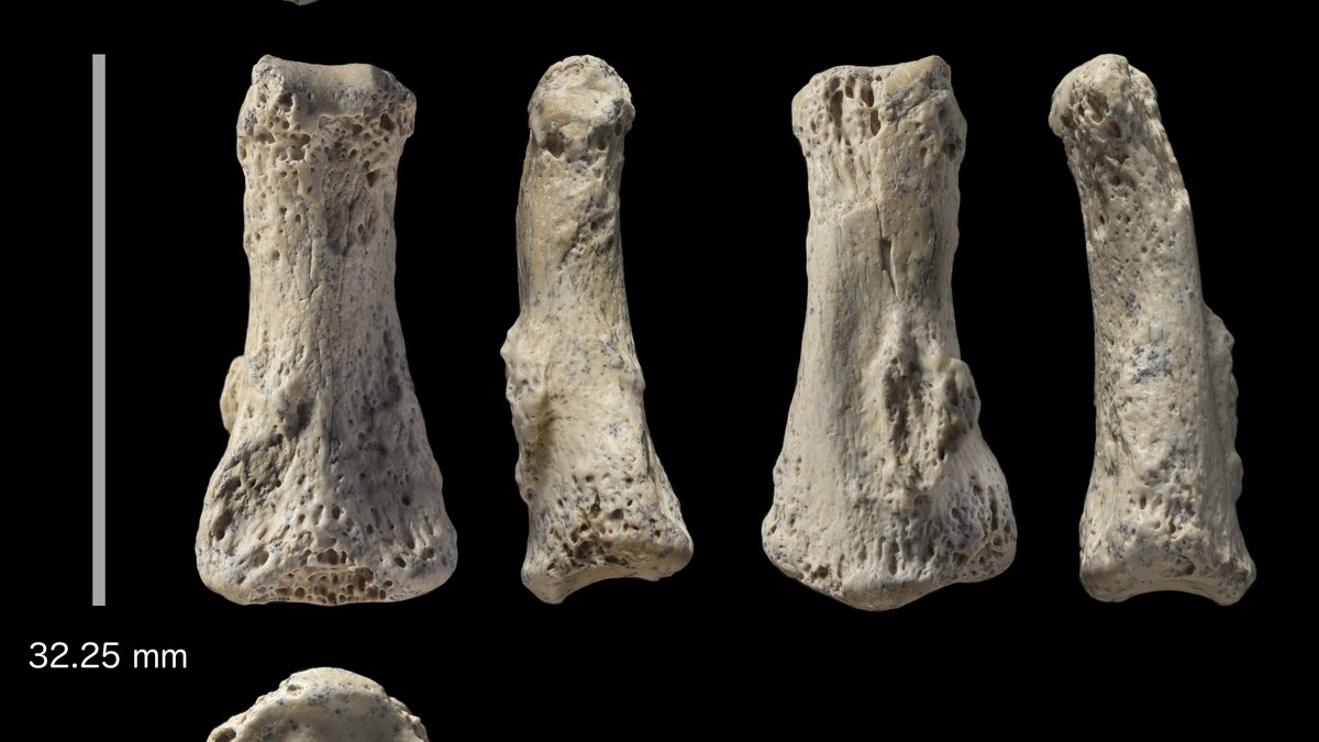 Earliest Homo sapiens fossil found outside Africa and the Levant | The ...