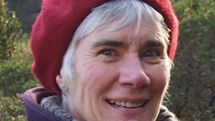 Professor Penny Summerfield FBA | The British Academy