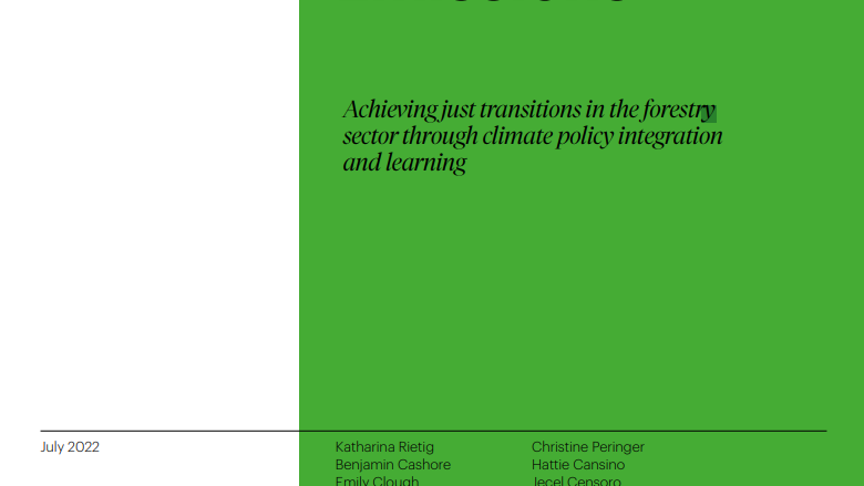 The ‘Net’ in Net-Zero Greenhouse Gas Emissions: Achieving just ...