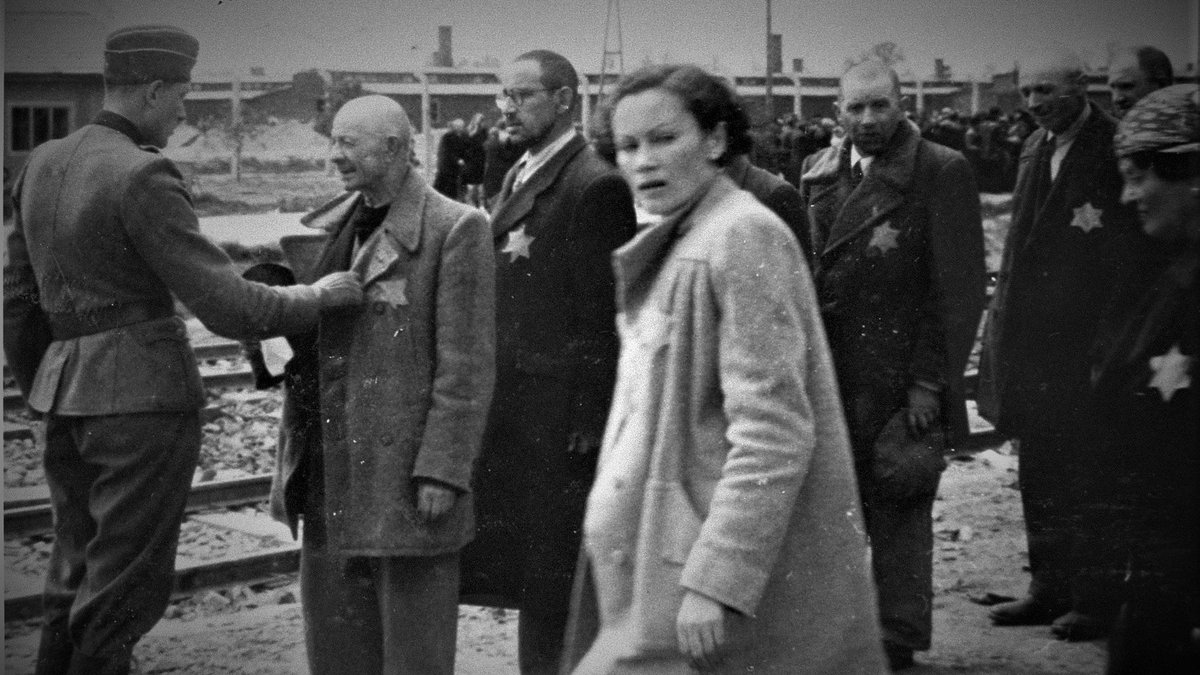 Making sense of Auschwitz: New perspectives on the Holocaust | The ...