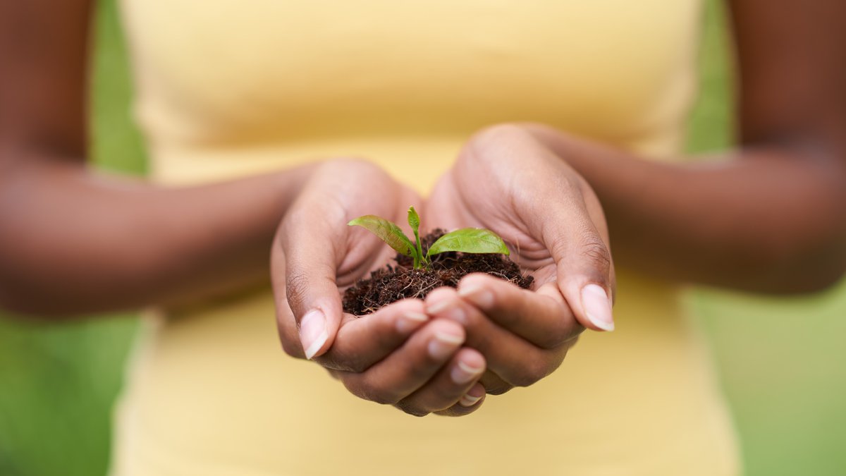 What are the biggest challenges facing the research community looking ...