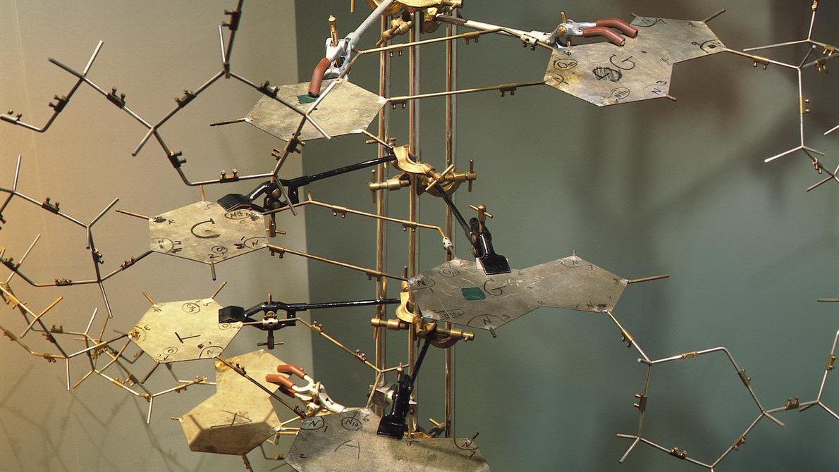 How the history of genetics charts the rise and fall of eugenics | The ...