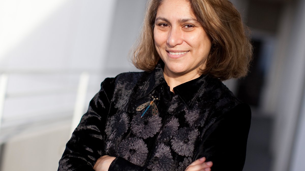Professor Mahzarin Banaji FBA | The British Academy