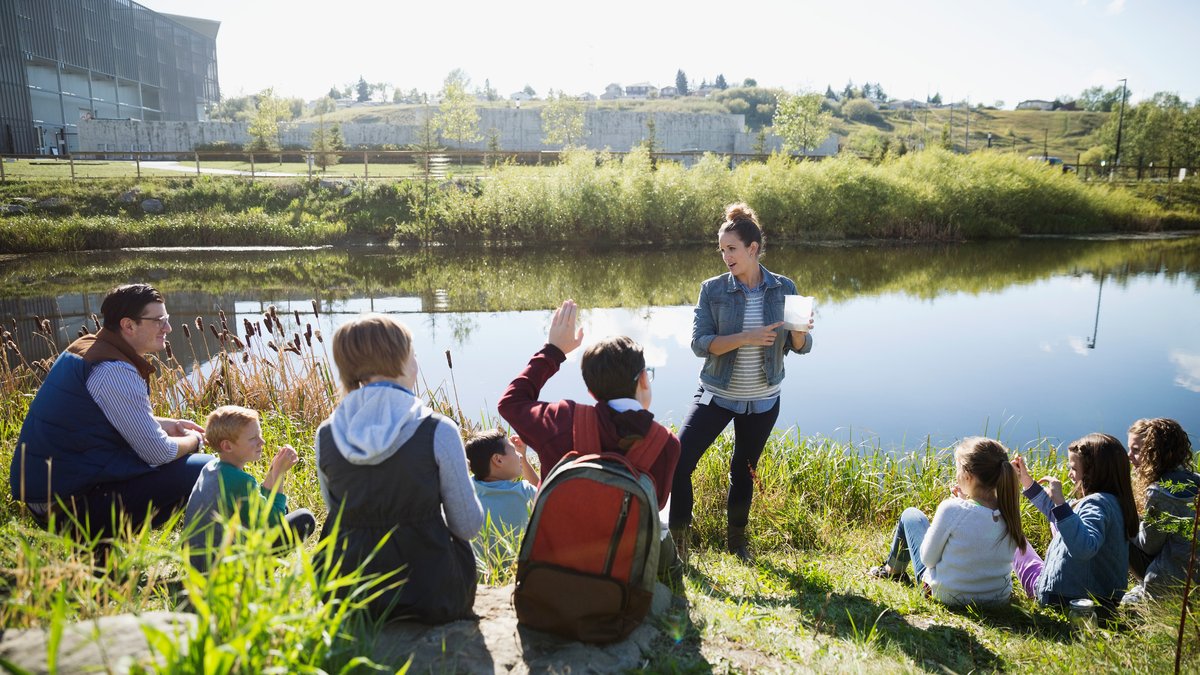 Summary of Policy Insight Case Studies | The British Academy