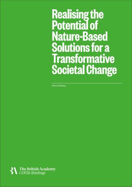 Realising the potential of nature-based solutions for a transformative ...