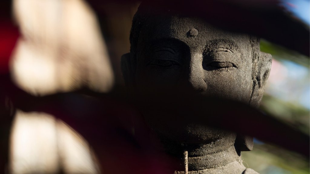 Photography | The British Academy